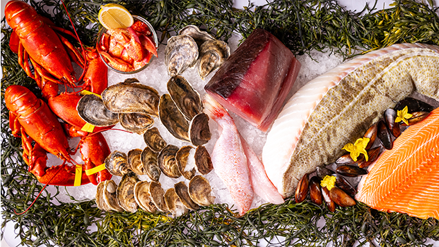 An Unflappable Commitment to Standards