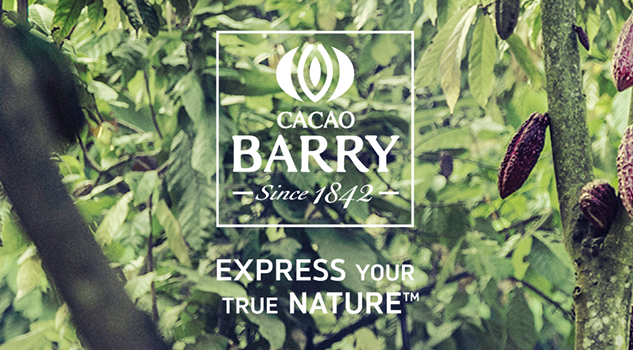 Discover our exciting collection of fine cacao flavors and colors!