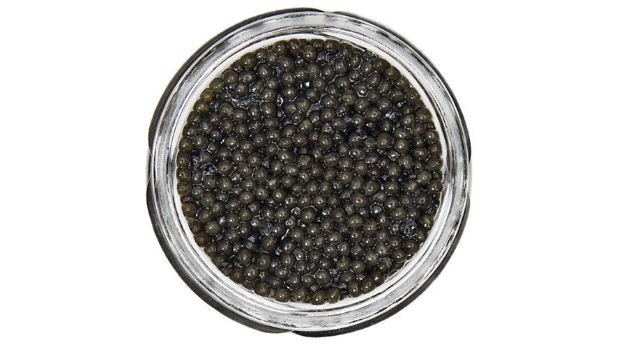 Paddlefish Caviar