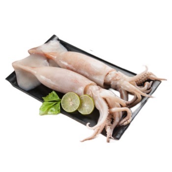 4-6" Cleaned Calamari Tubes