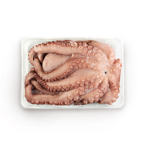 4-6 LB Octopus