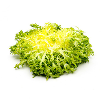 Frisee Lettuce