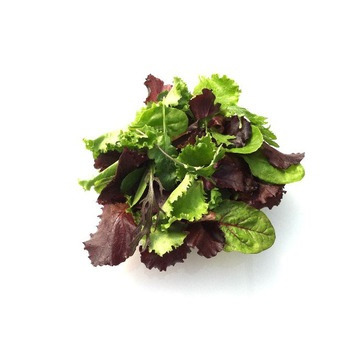 Mesclun Spring Mixed Greens