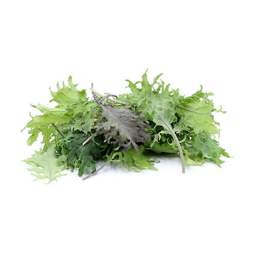 Organic Mixed Baby Kale Greens