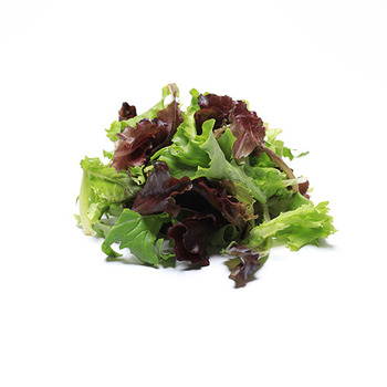 Organic Mesclun Spring Mix