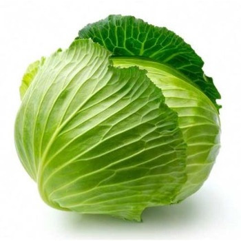 Green Cabbage