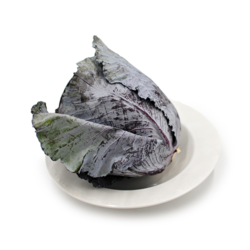 Red Cabbage