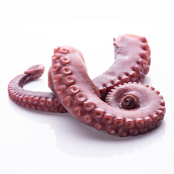 Octopus Legs Cooked 3-5
