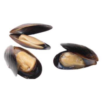 Mussels Black In Shell