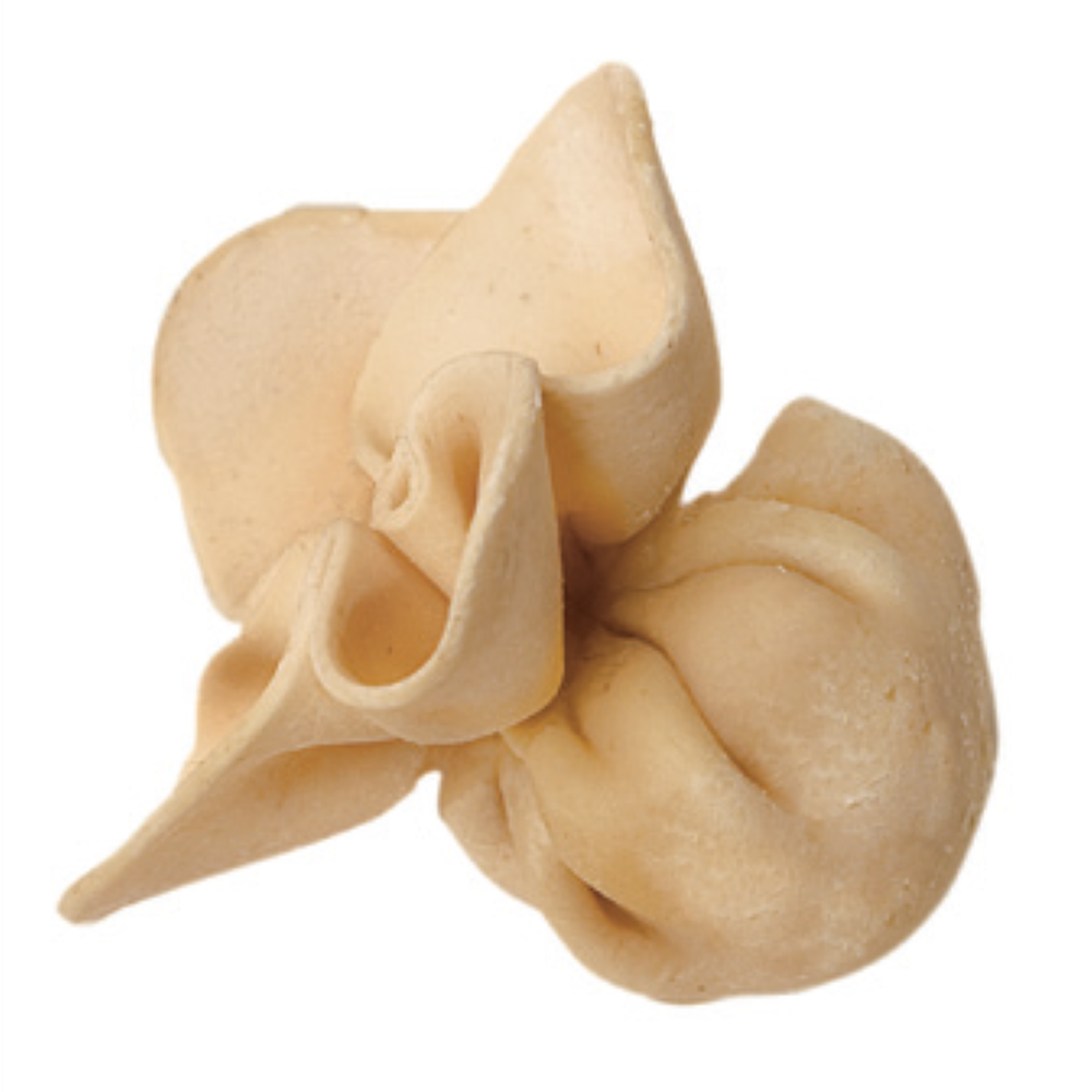 Four-Cheese Sacchettoni