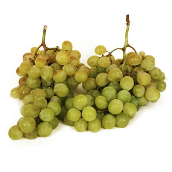 Muscato Green Grapes