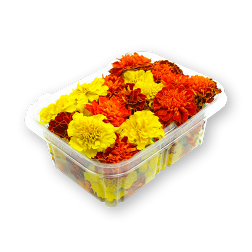 Blossom Marigold Flower