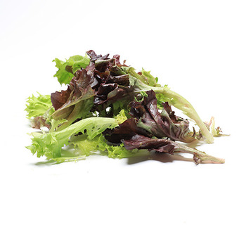Lettuce Arcadia Mix