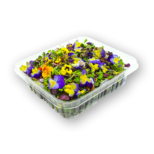 Micro Celebration Mix