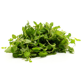 Lavendar Mint Micro Greens
