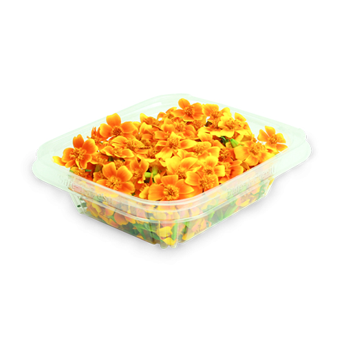 Micro Marigold Blossoms