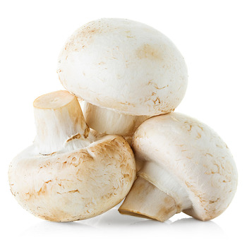 Foodservice Mushrooms