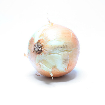 Super Colossal Spanish Onions