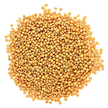 Whole Yellow Mustard Seed