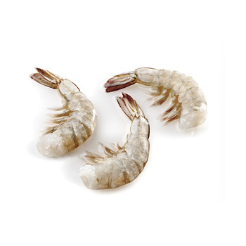 Raw Ez Peel White Shrimp 16/20