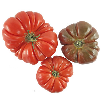 Large Heirloom Tomatoes